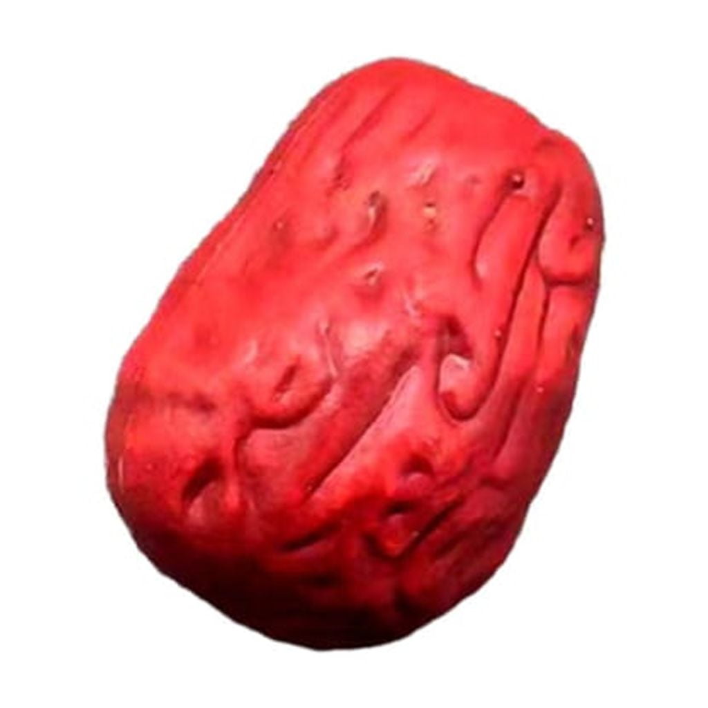 WE-POLUJ Plastic Jujube Shaped Decorations Fake Dried Nut Model ...