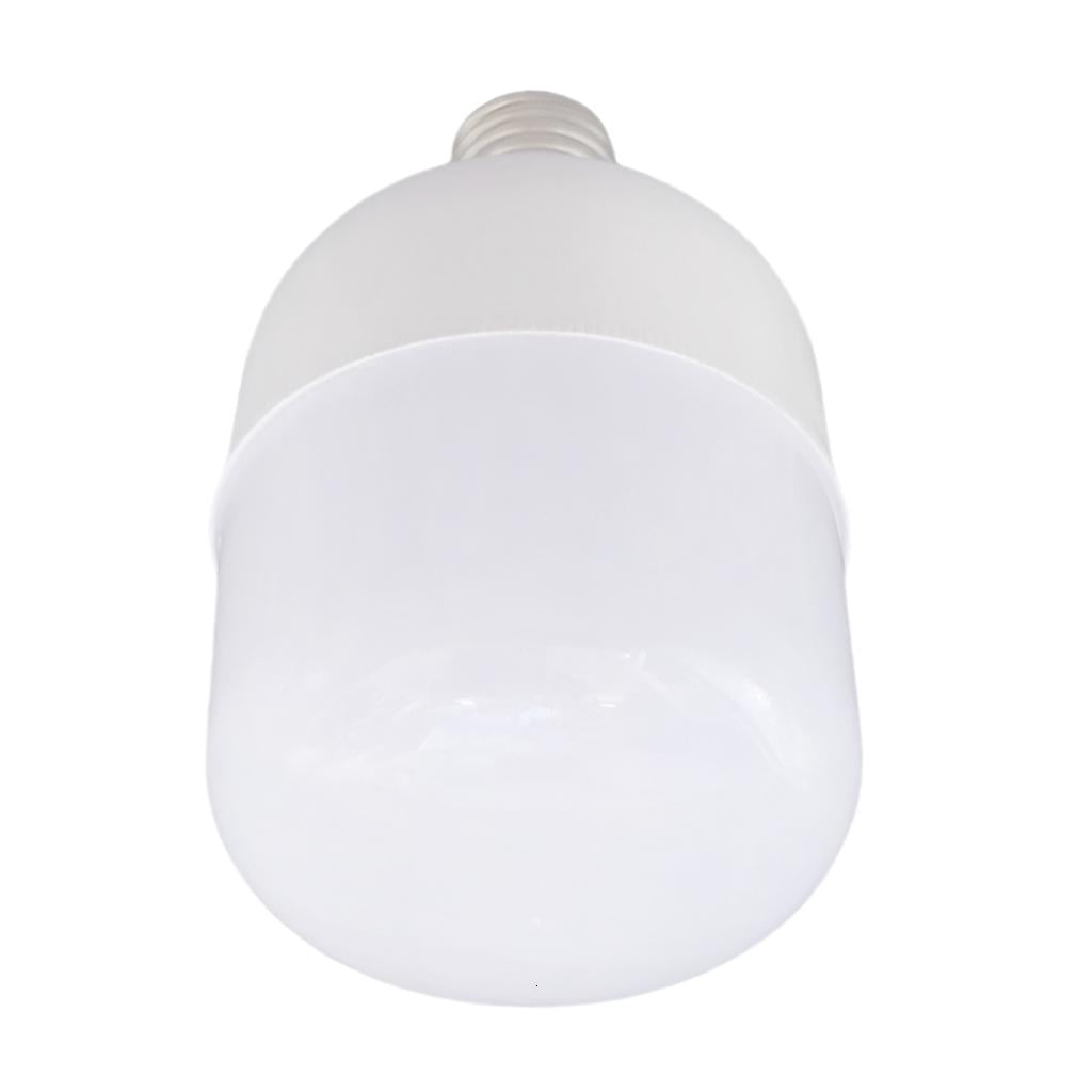 WE-POLUJ Unique Bulb Container with Concealed Space for Safeguarding ...