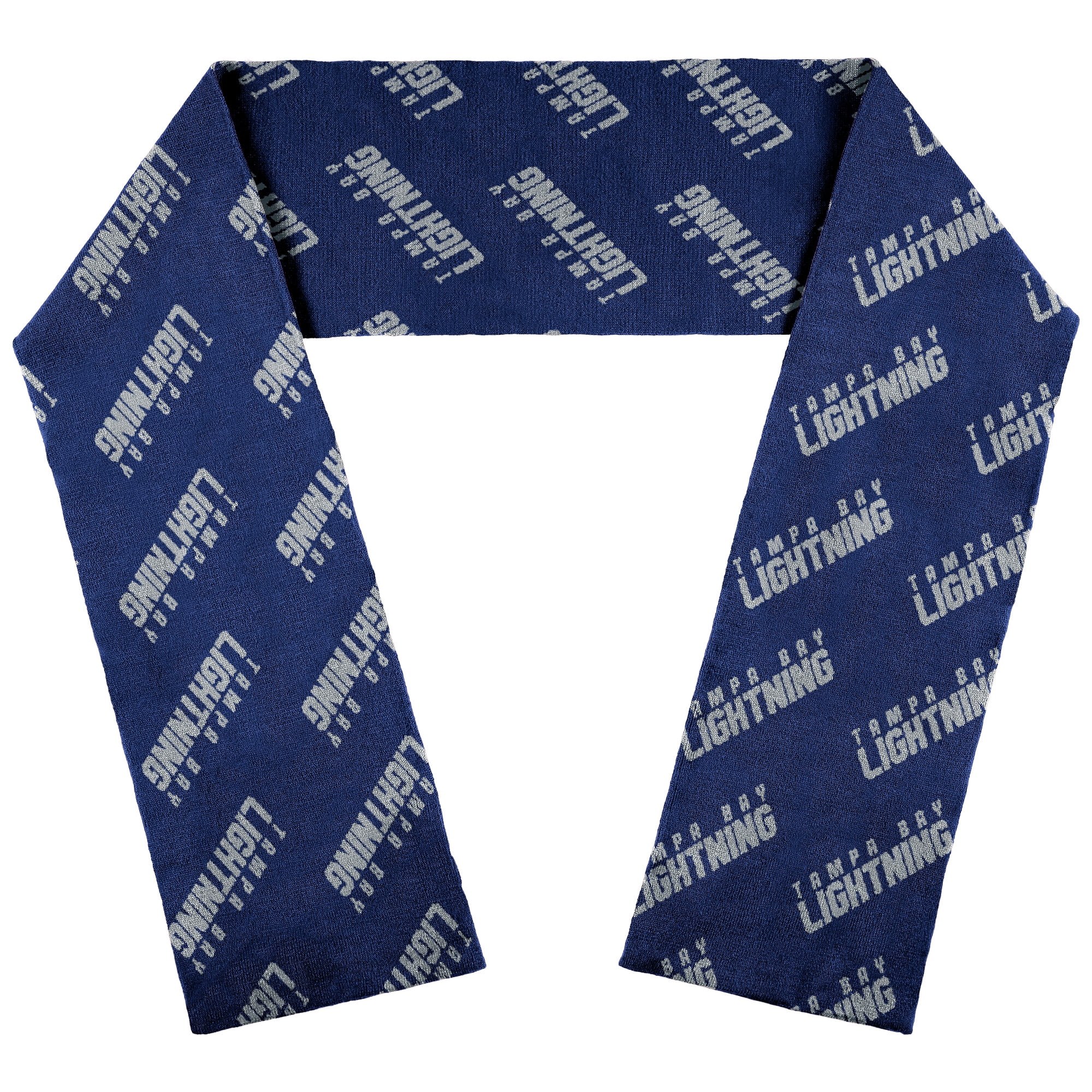 WEAR by Erin Andrews Tampa Bay Lightning Team Wordmark Scarf - Walmart.com
