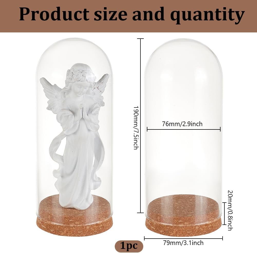 WEBEEDY Glass Dome Cover Decorative Display Case Cloche Bell Jar ...