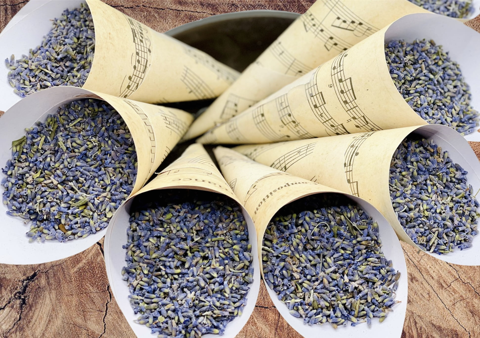 DIY Wedding Toss Kit: Biodegradable Confetti, Vintage Music Sheet Cones ...