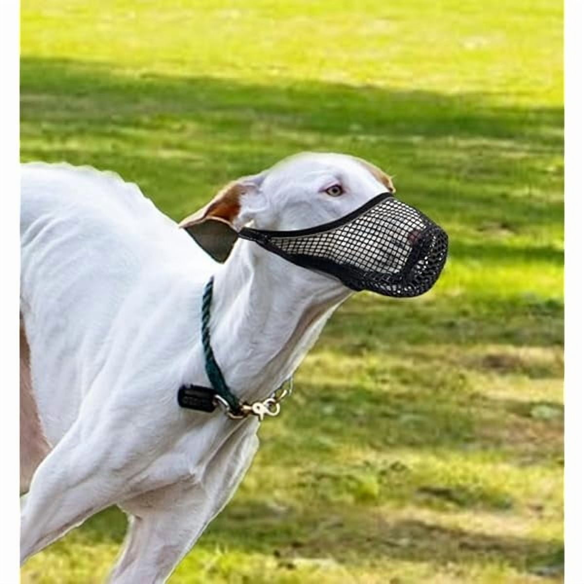 WEEKS Dog Muzzle, Adjustable Breathable Soft Mesh Covered Muzzles for ...