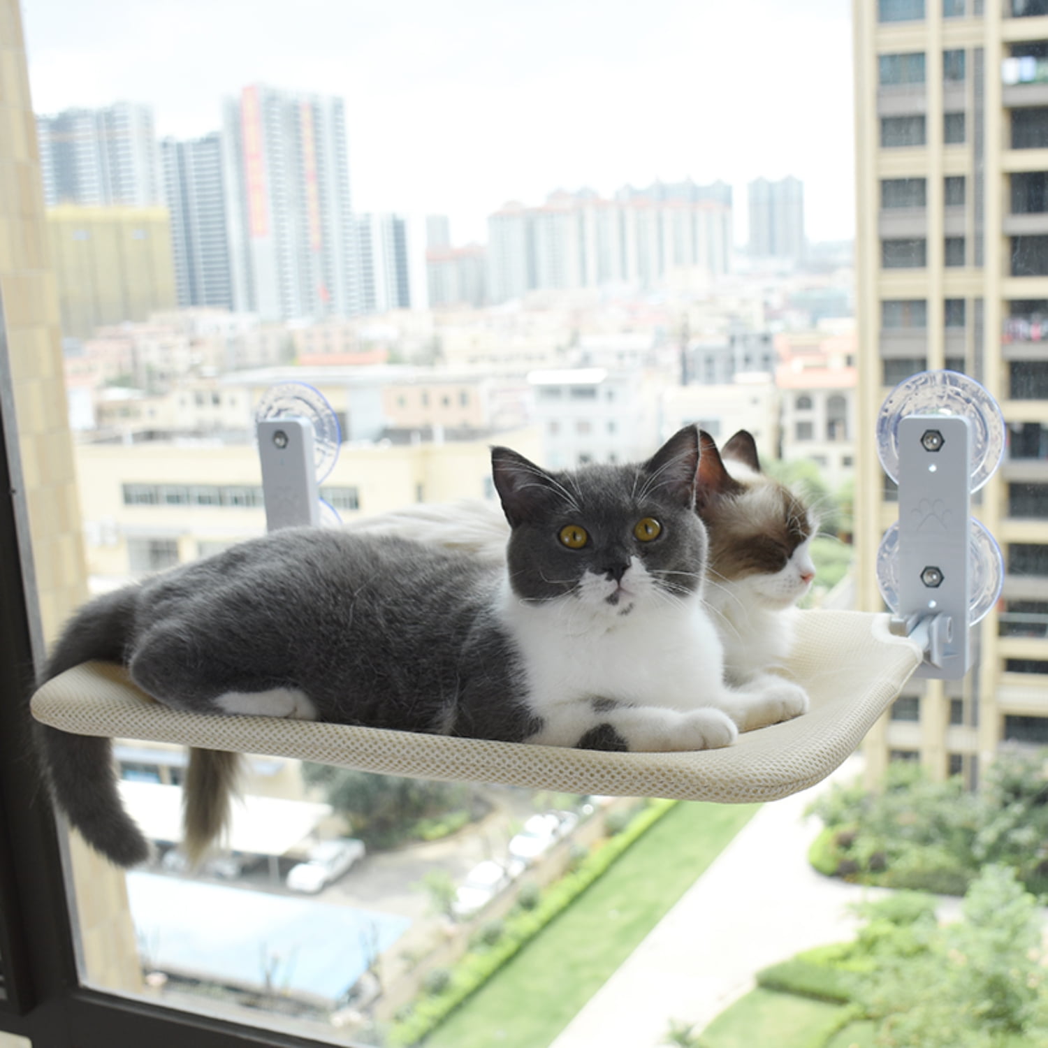 WEIKABU Foldable Cat Window Perch Cordless Cat Window Hammock with 4 ...