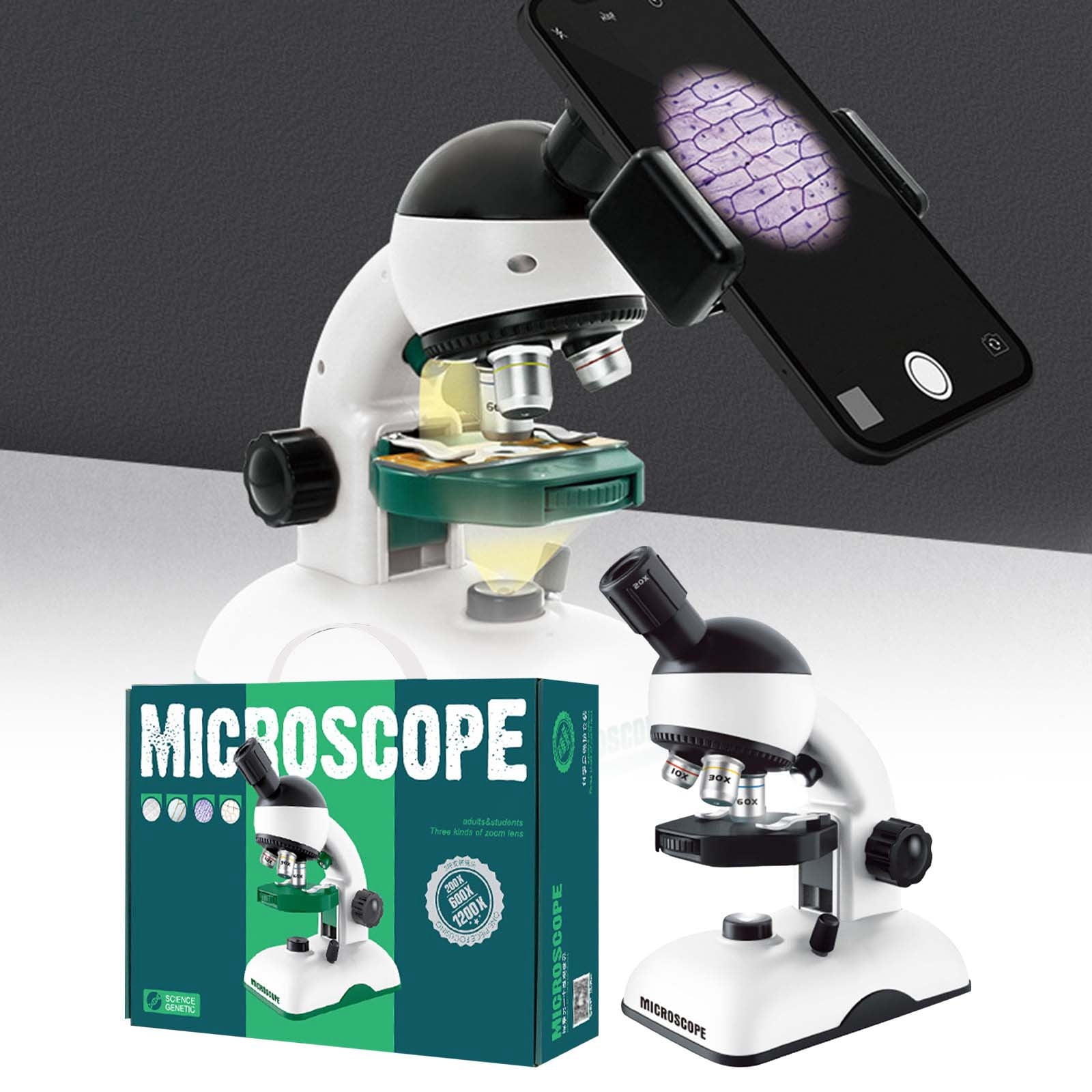 WEIXF 2400X Kit For Clear Observation Ideal For Elementary High School ...