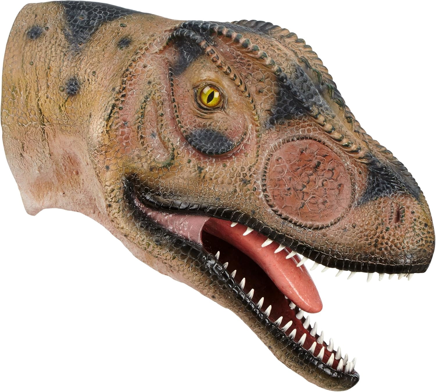 WENFA Giant Allosaurus Dinosaur Wall Trophy Sculpture, Mouth Open ...