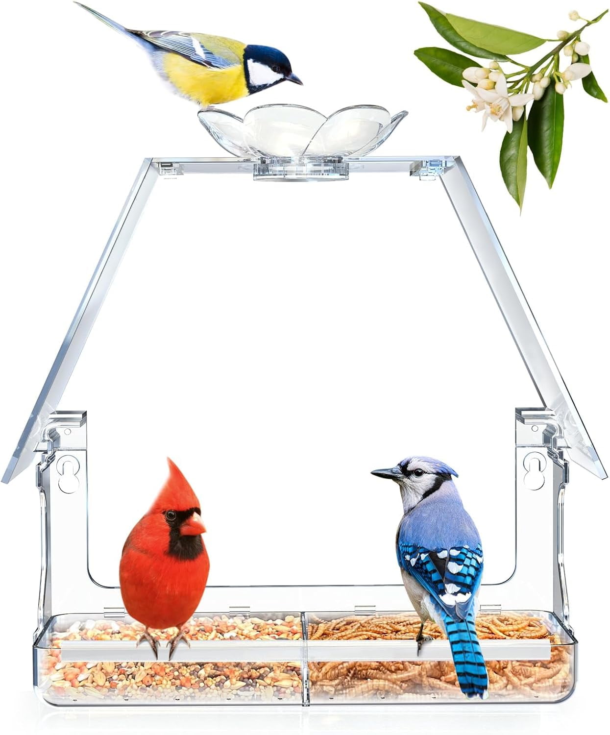 WENMIXER Large Window Bird Feeder with 2 Strong Suction Cups & 2 Non ...