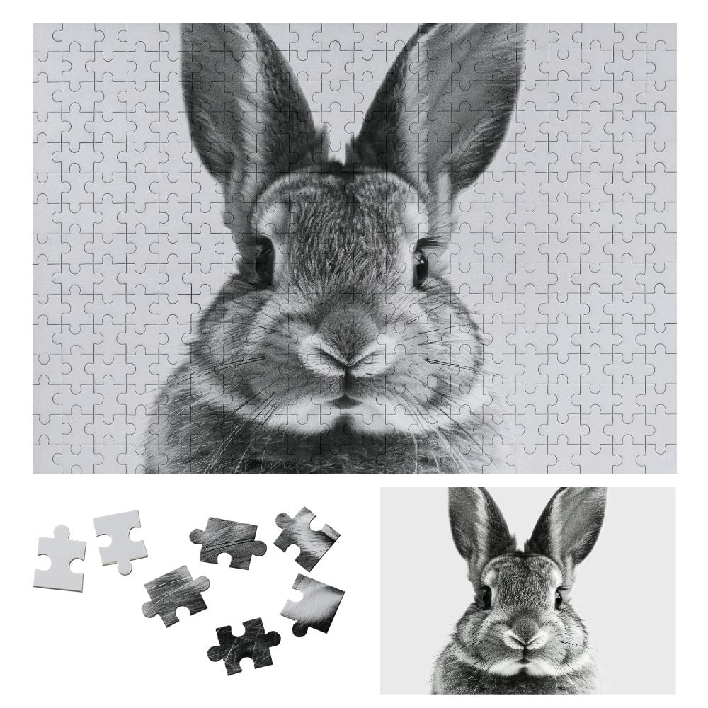 Lingy Rabbit Wood Puzzle Game Toy Gift for Family Friends 300 PCS ...