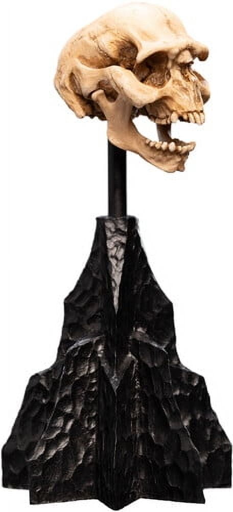 WETA Workshop Polystone - The Lord of the Rings Trilogy - Skull of a ...