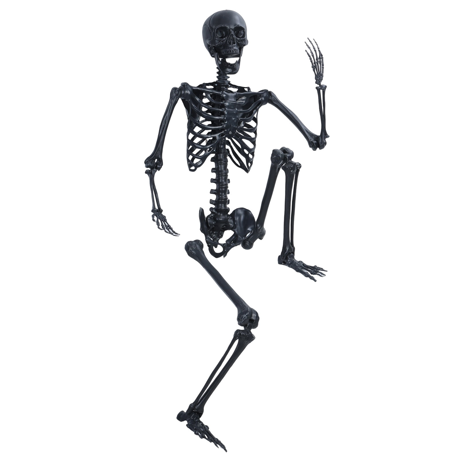 WETS 5.4ft Halloween Skeleton -Life Size Full Body Realistic Human ...