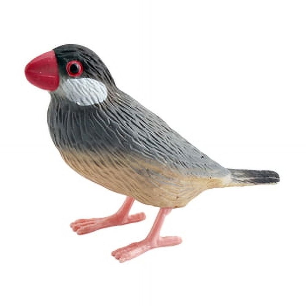 WETS Realistic Bird Figurine Roadrunner Mannikin Hummingbird Robin ...
