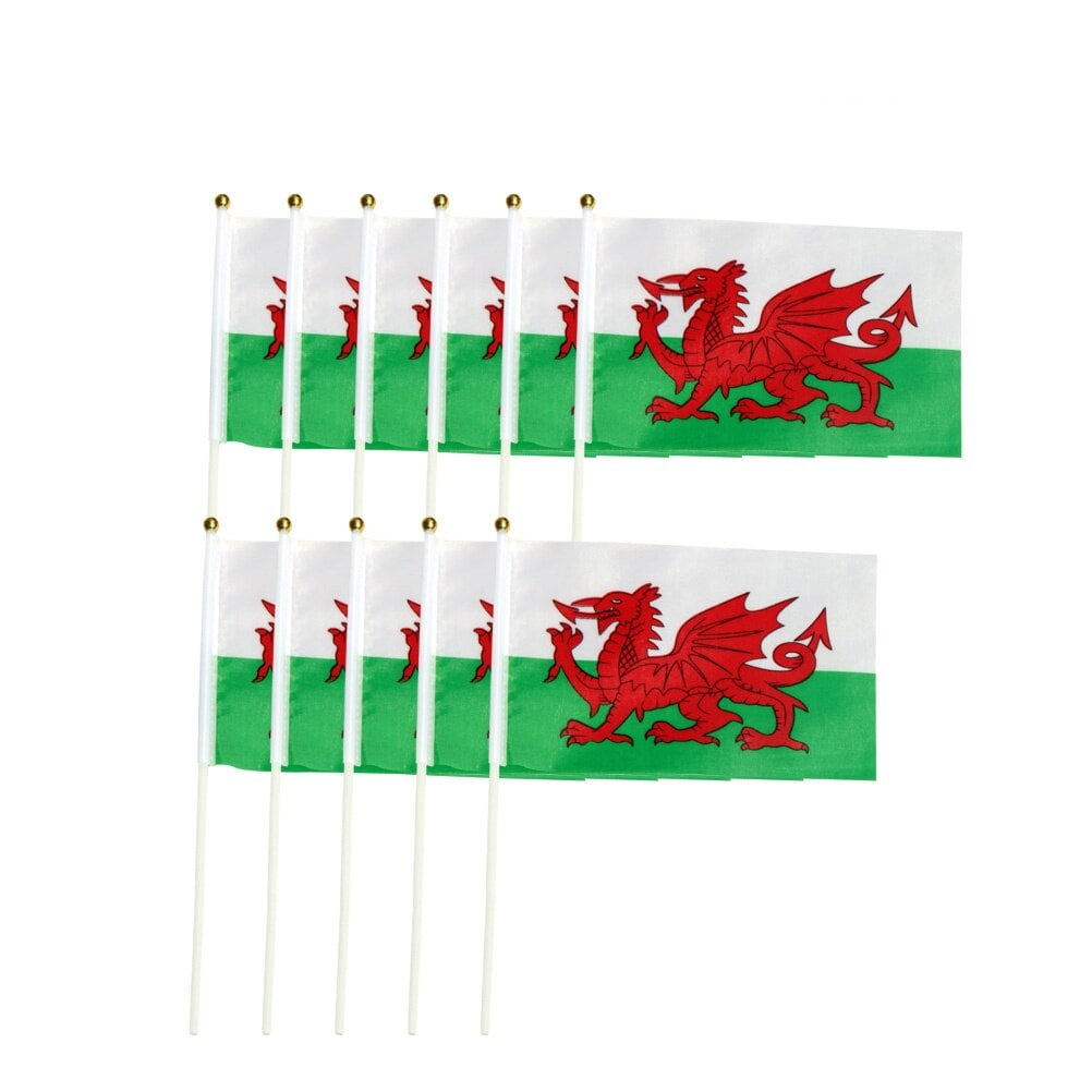 WEUVEB Hand Waving Small Flag Multi Polyester 10Pcs for School Projects ...