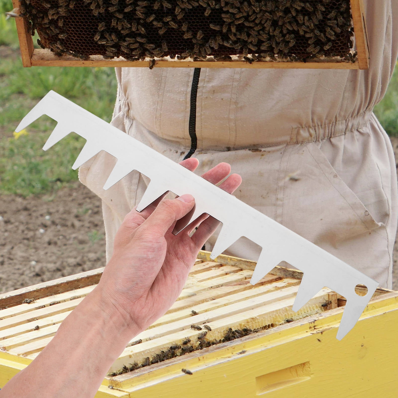 WEUVEB Beekeeping Hive Parts Stainless Steel Beehive Frame Strip for ...