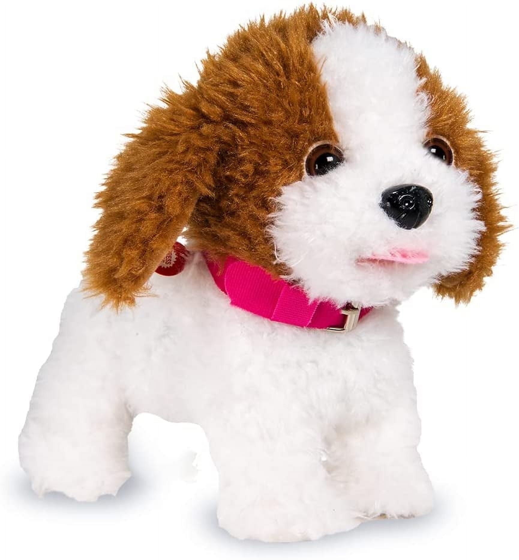 WEofferwhatYOUwant Practice Training Teddy. Plush Labradoodle Dog with ...