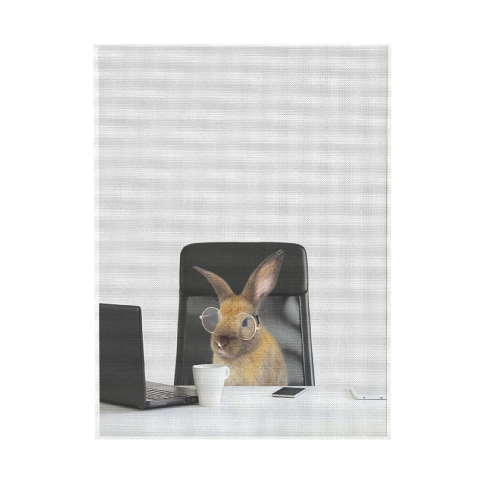 WFSposter Funny Rabbit Canvas，Hello, I’m A Rabbit HR Framed Canvas Wall ...