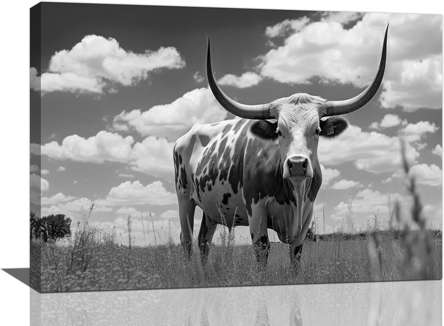 WFSposter-Texas Longhorn Large Black White Wall Art Cow Animal Pictures ...