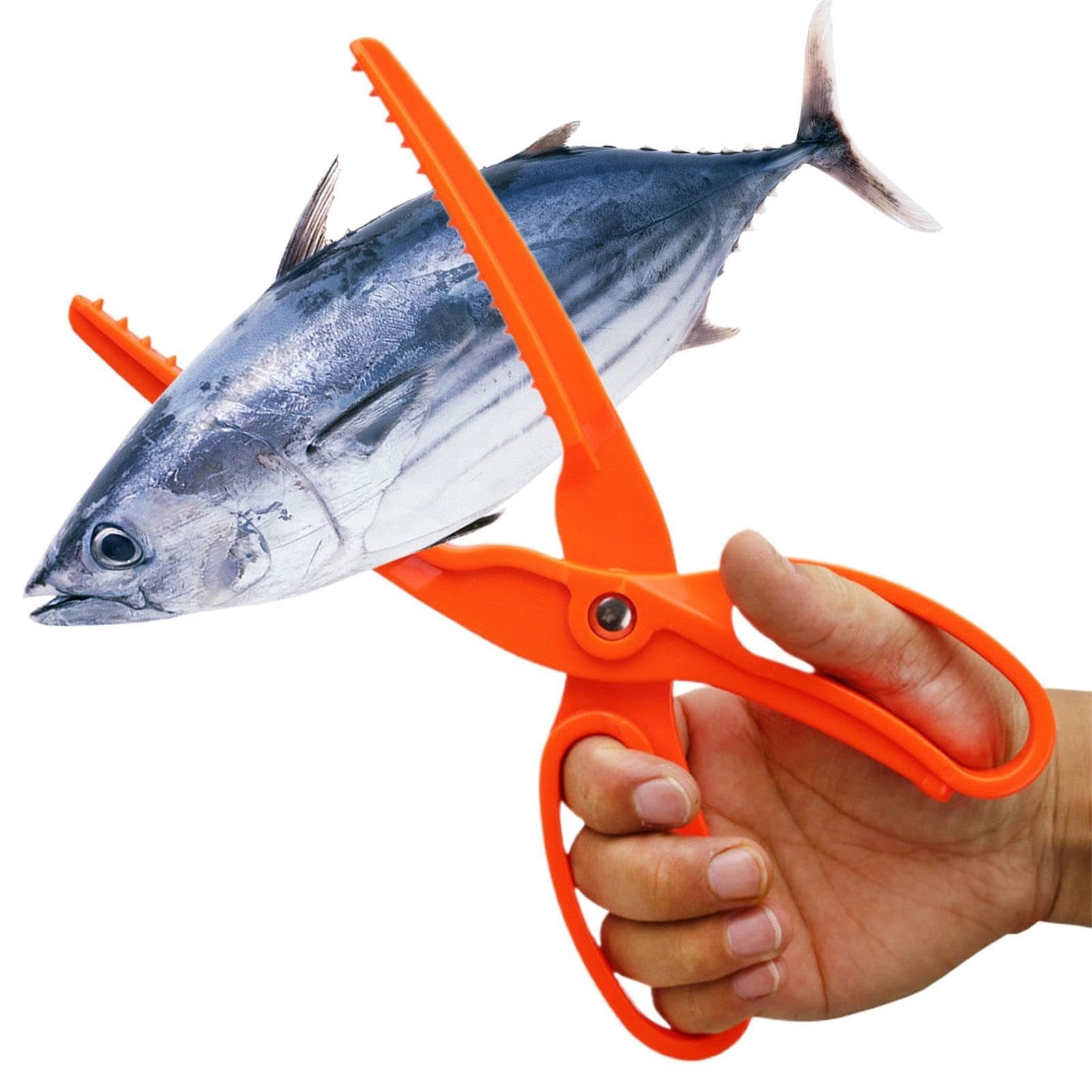 WGEEGWTTGH Fish Control Clamp Fish Holder Clamp Fish Handle Tackle ...