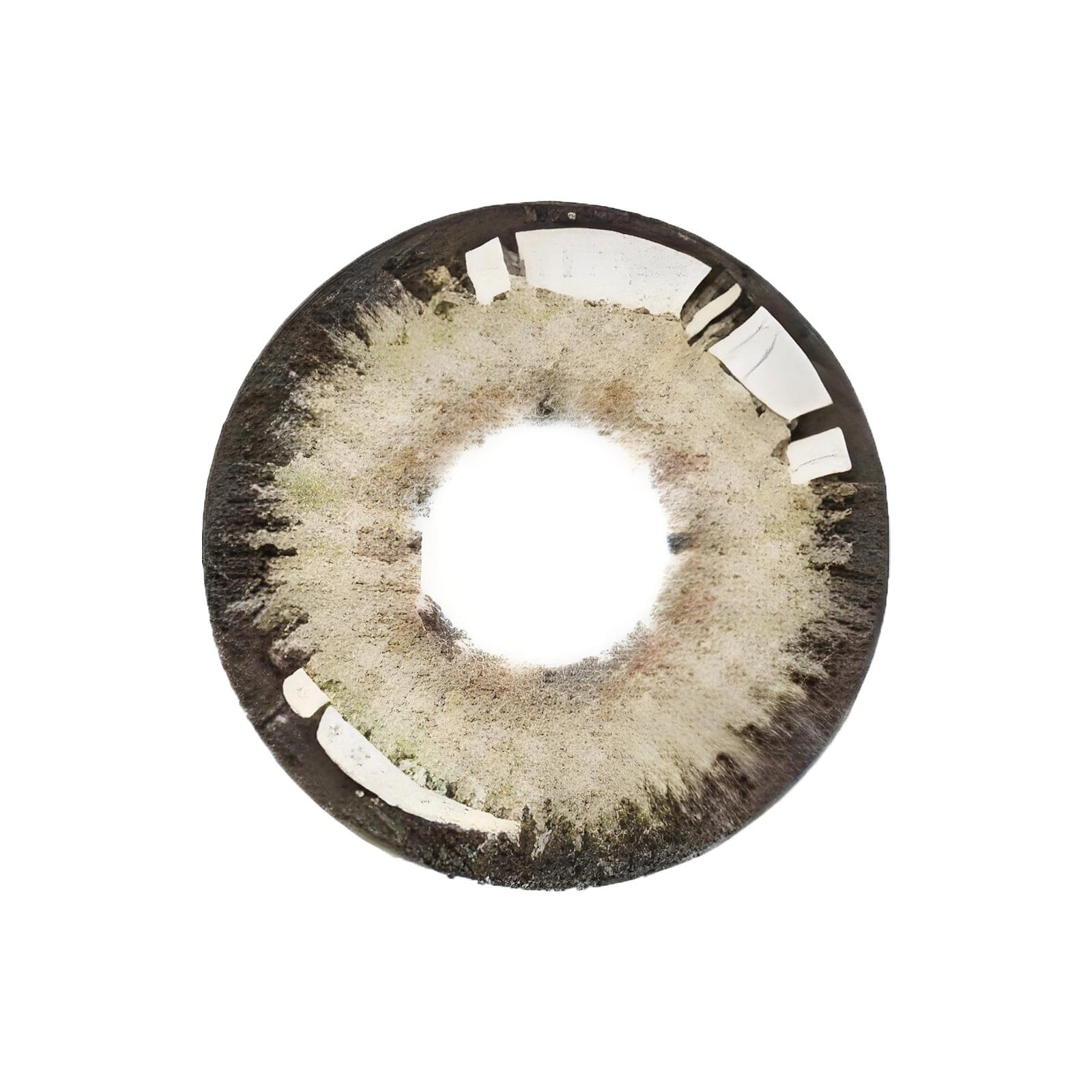 WGEEGWTTGH Wedding Gifts High Diameter Hydrating for Myopia – Comfort ...