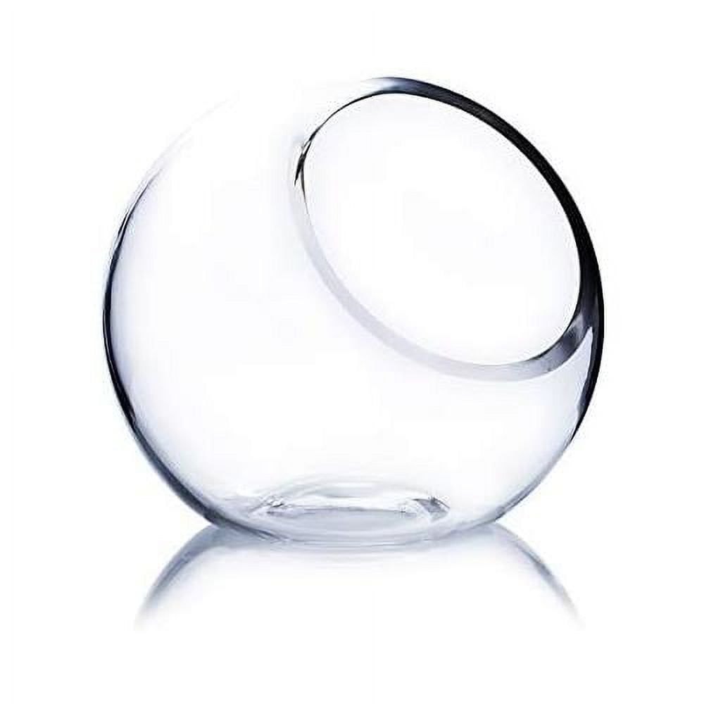 Wgv 6 Clear Glass Vase Slant Cut Tilted Bubble Bowl Plant Terrarium Floral Arrangement