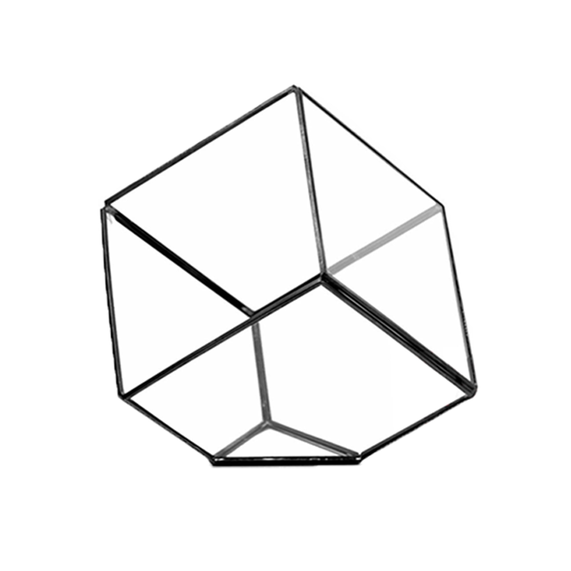 WGV Big Black Tilted Cube Geometric Glass Terrarium - 11.5" Wide x 12 ...
