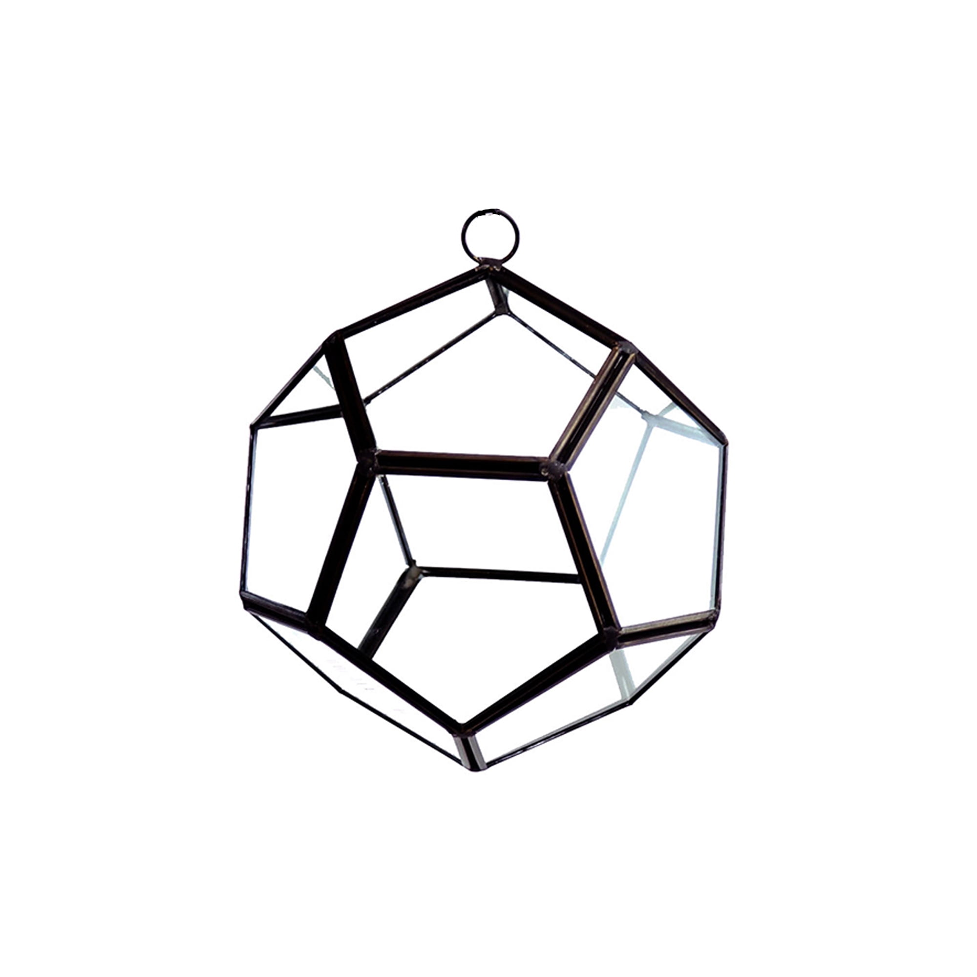 WGV Black Dodecahedron Geometric Glass Terrarium - 5.5" Wide x 6 ...