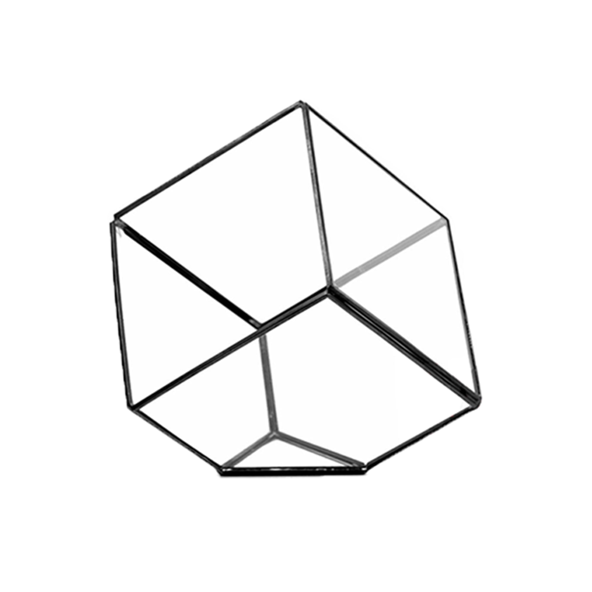 WGV Black Tilted Cube Geometric Glass Terrarium- 8.5" Wide x 8.5 ...
