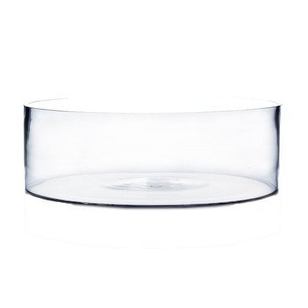 WGV Clear Cylinder Glass Vase - 10" Wide x 4" Height, Good quality ...