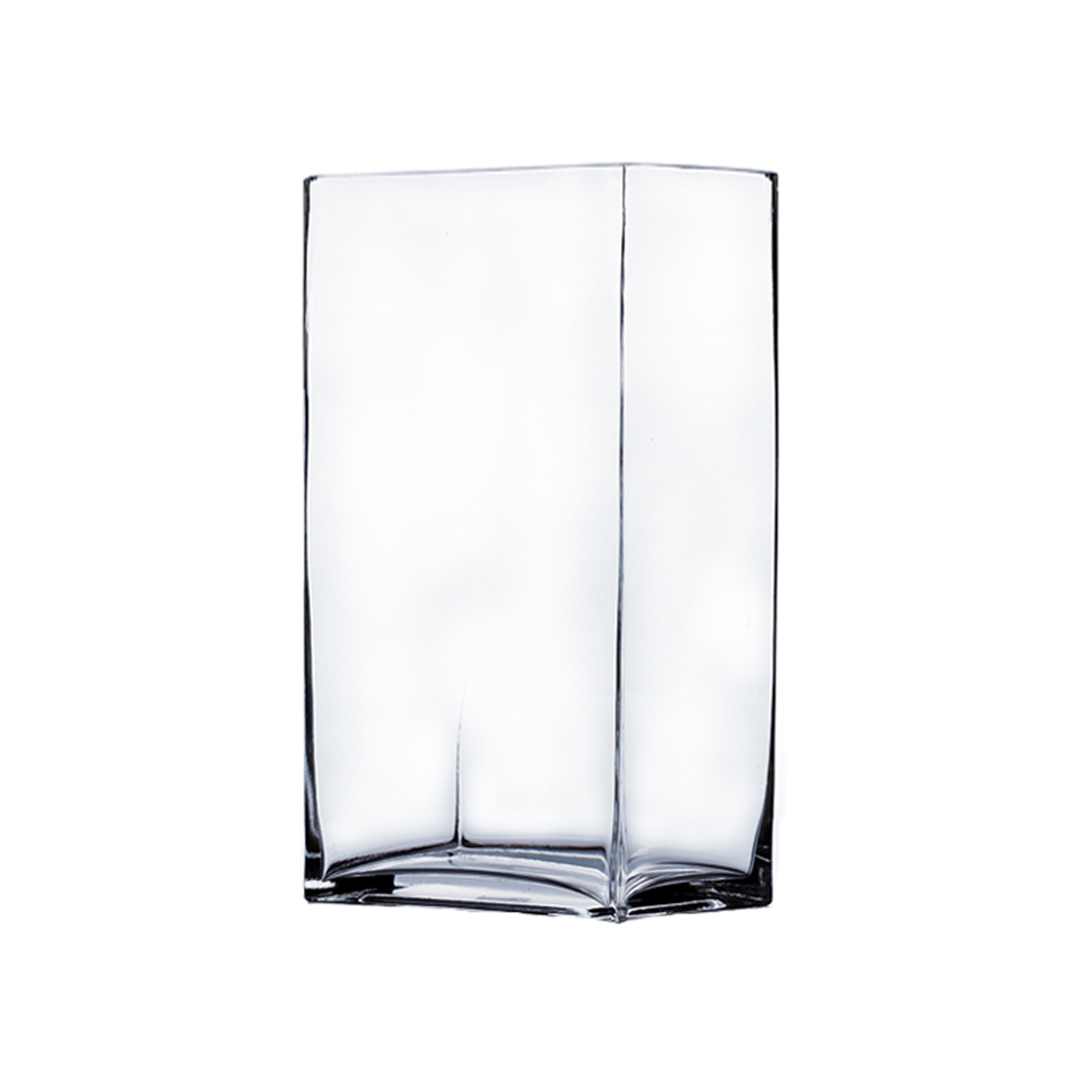 WGV Clear Rectangular Glass Block Vase - 4" Wide x 8" Height, Good ...