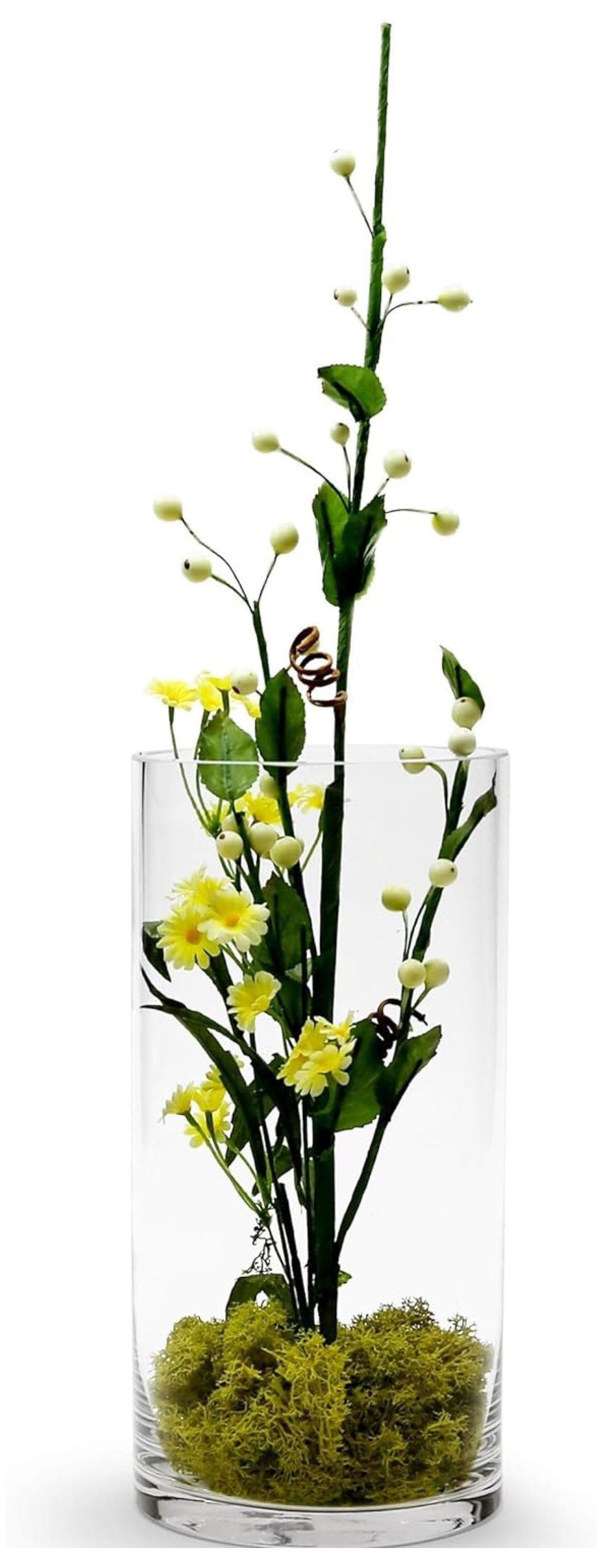 WGV Cylinder Vase Bulk, Diameter 5", Height 10", Clear Glass Floral ...