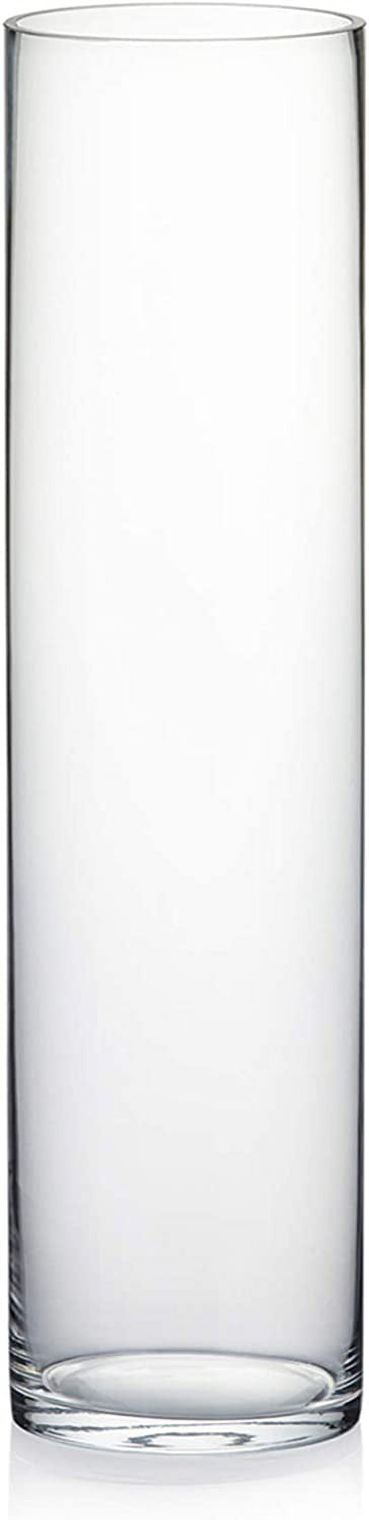 WGV Cylinder Vase, Diameter 5", Height 20", Clear Glass Floral Planter ...