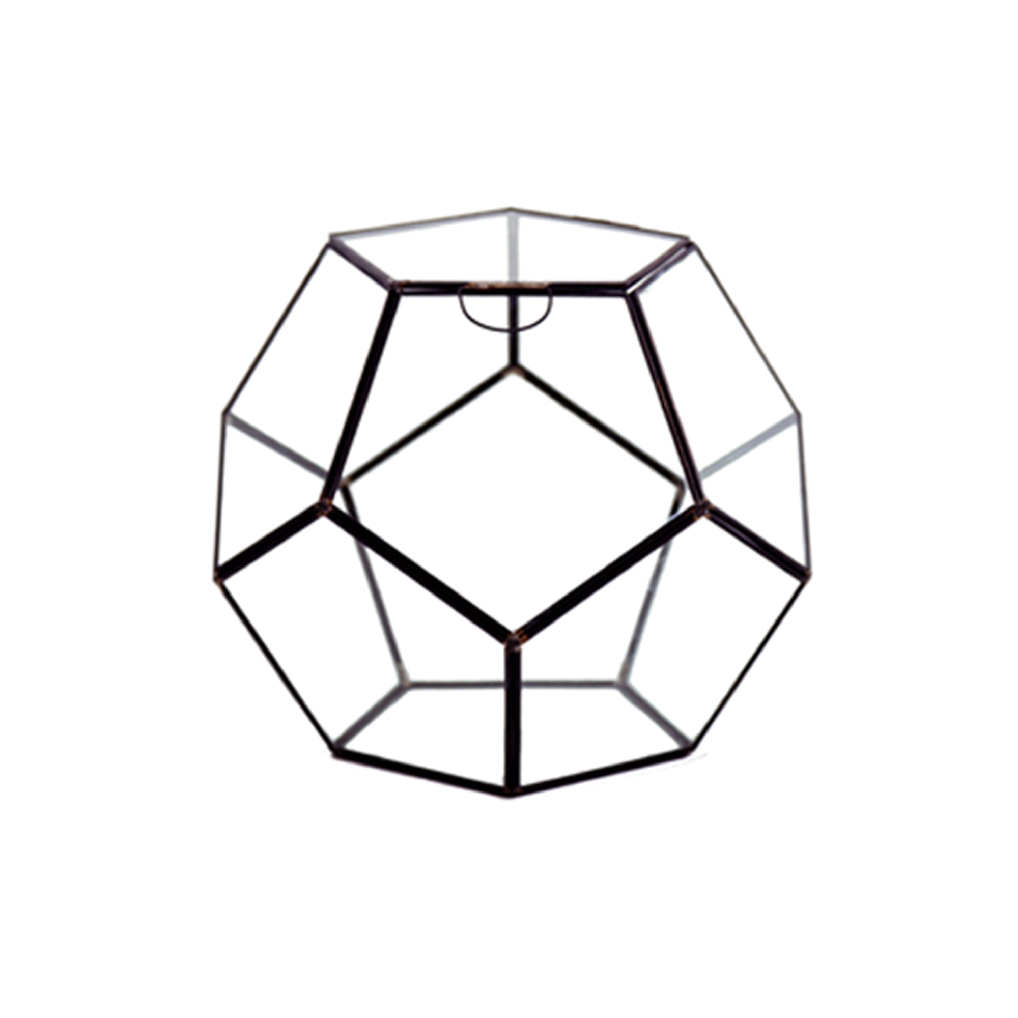 WGV Medium Black Prism Dodecahedron Geometric Glass Terrarium - 9" Wide ...