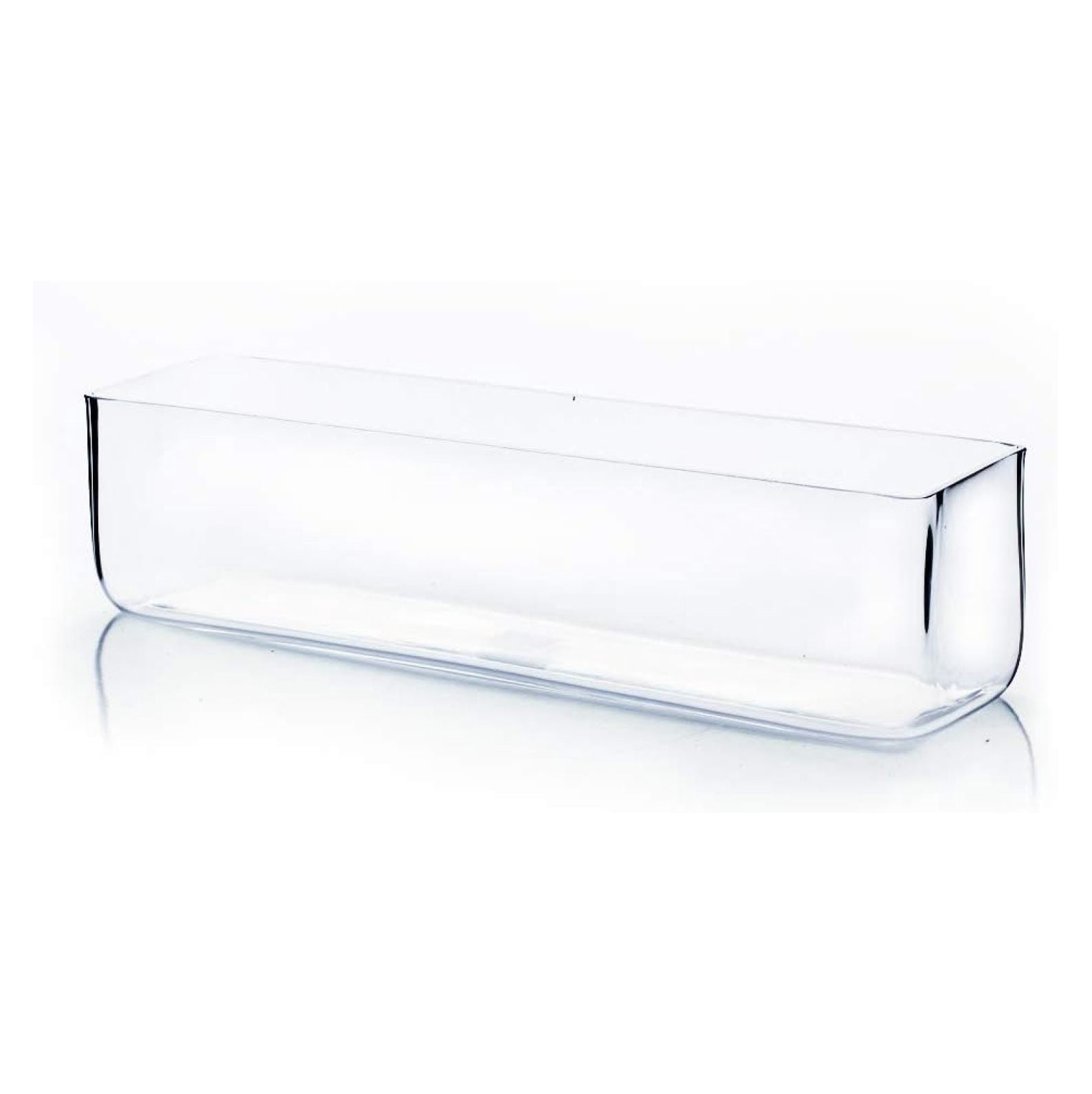 WGV Rectangle Block Glass Vase, Width 4", Length 16", Height 4", Clear ...