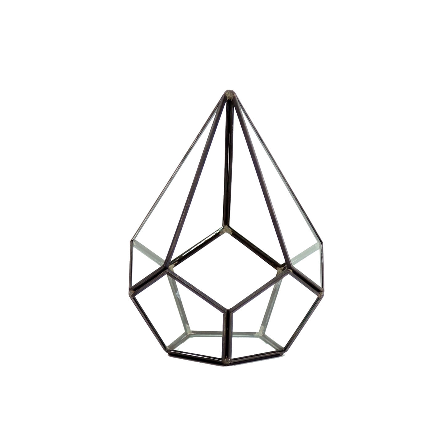 WGV Undecahedron Teardrop Terrarium- 6" Wide x 7.5" Height, Good ...