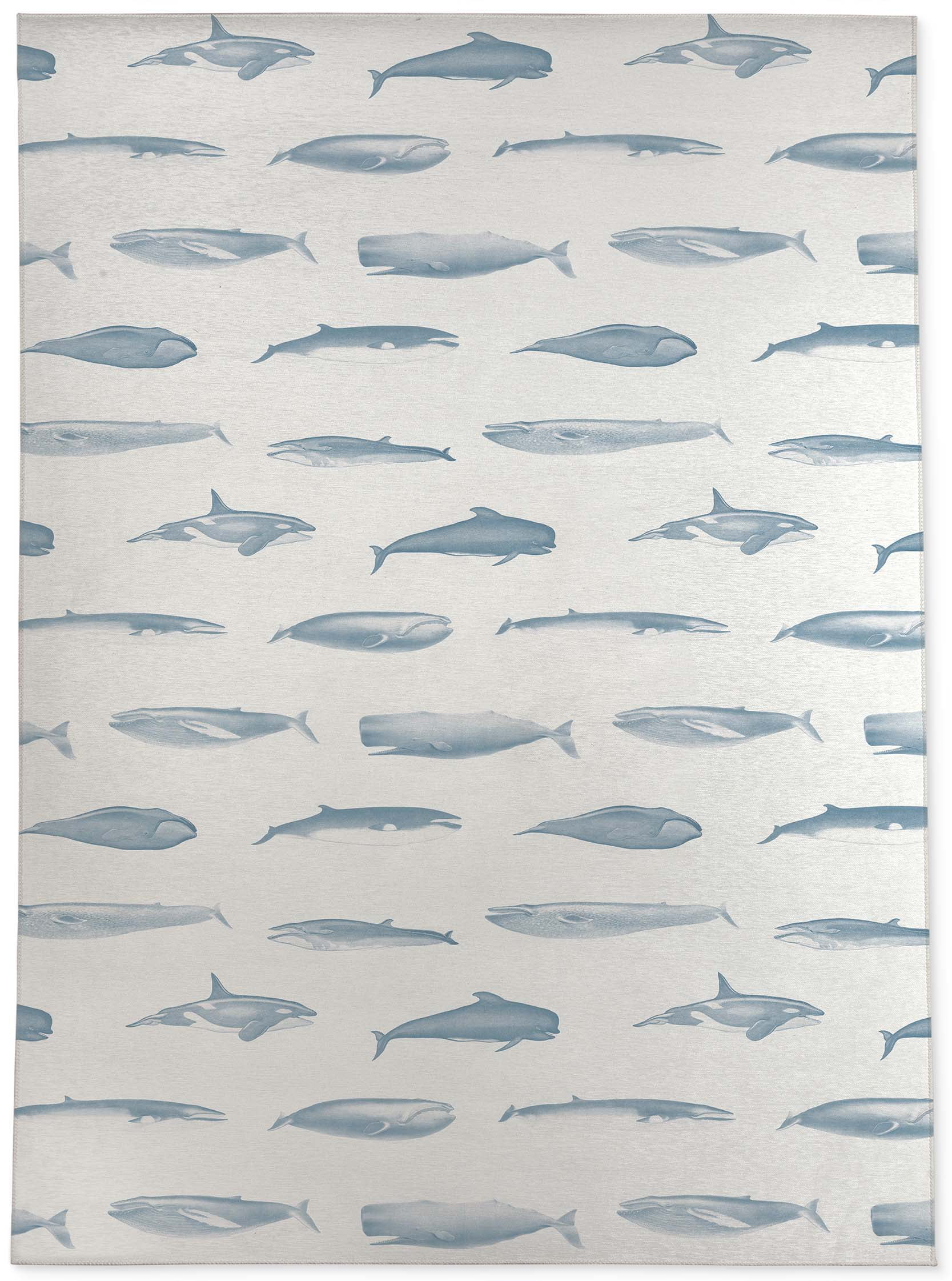 WHALES BLUE Area Rug By Kavka Designs - Walmart.com
