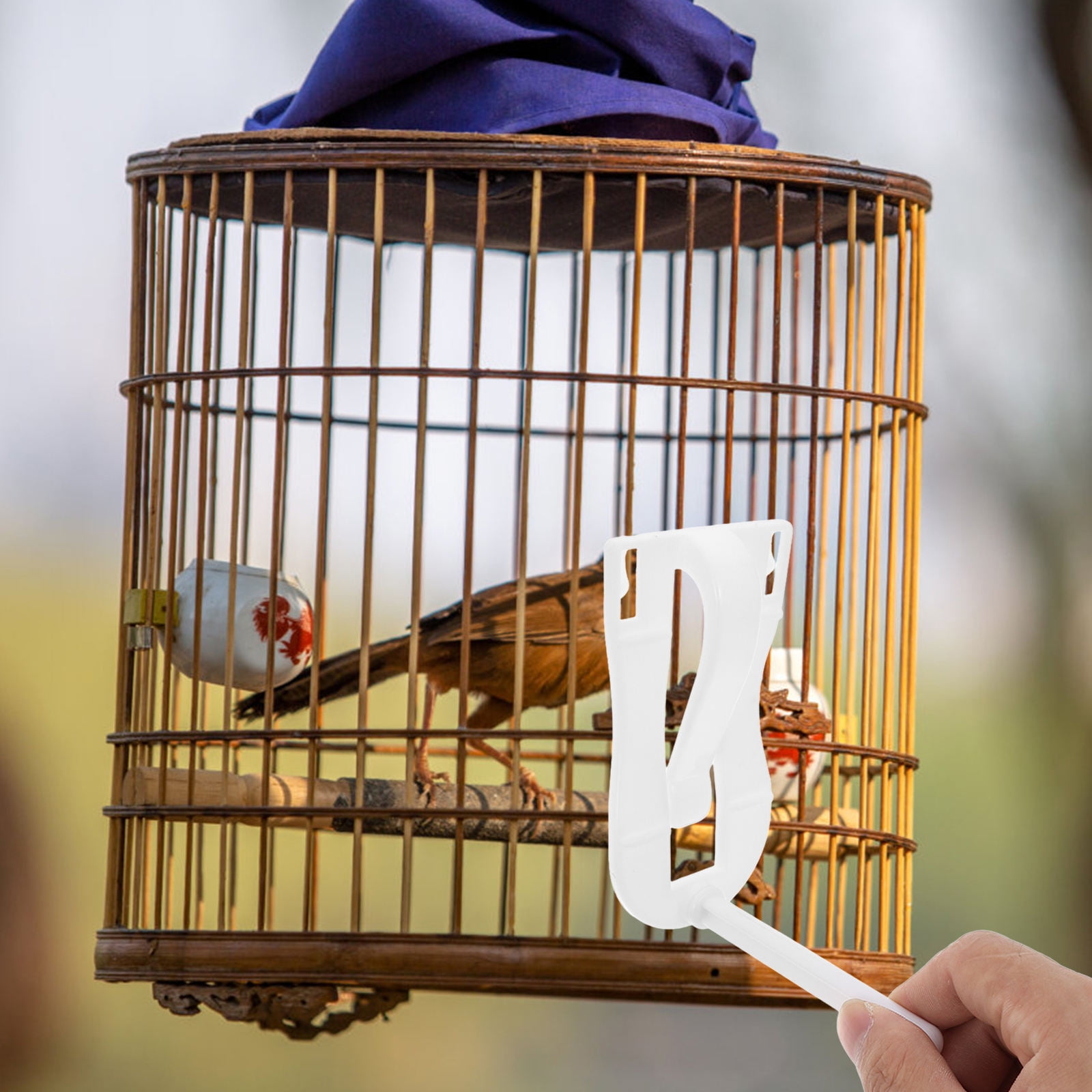 WHAMVOX 1 Set Feeding Clip Bird Cage Vegetable Clamp Bird Cage Fixed ...