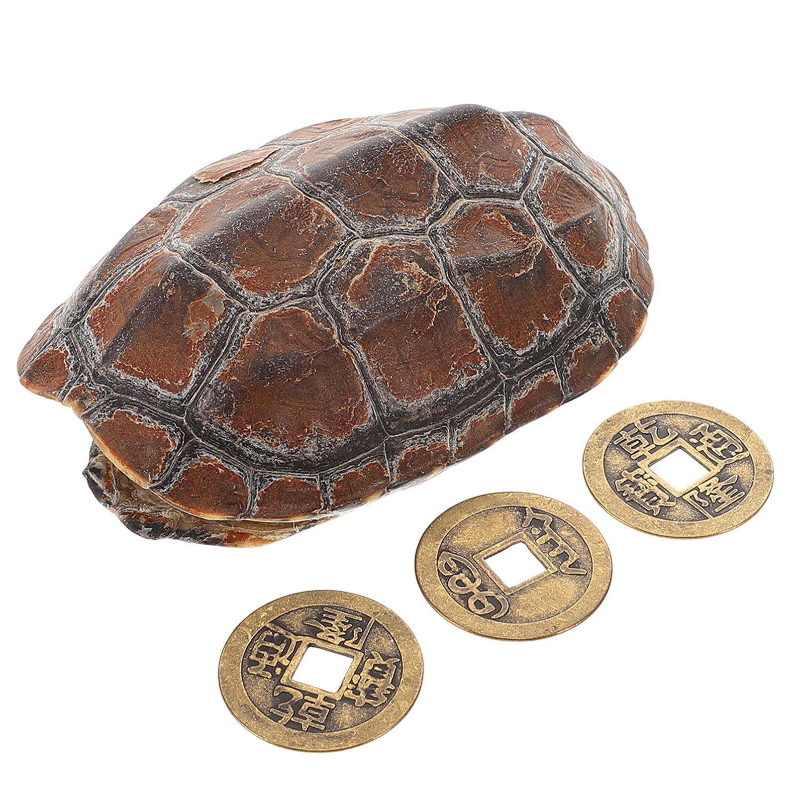 WHAMVOX 1 Set Sculpture Shell Decor Divination Prop Retro Turtle Shell Figurine Chinese Decor ...