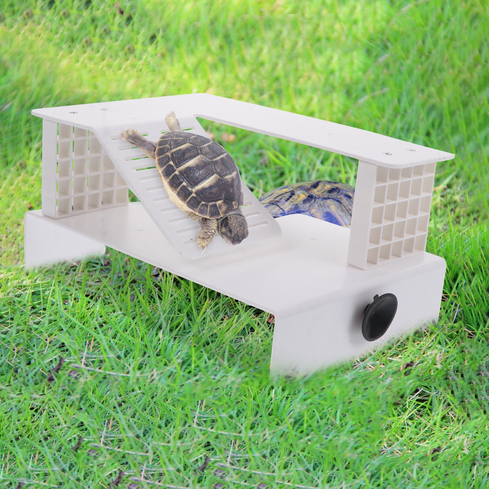 WHAMVOX 1 Set Turtle Resting Terrace Turtle Basking Platform Plastic ...