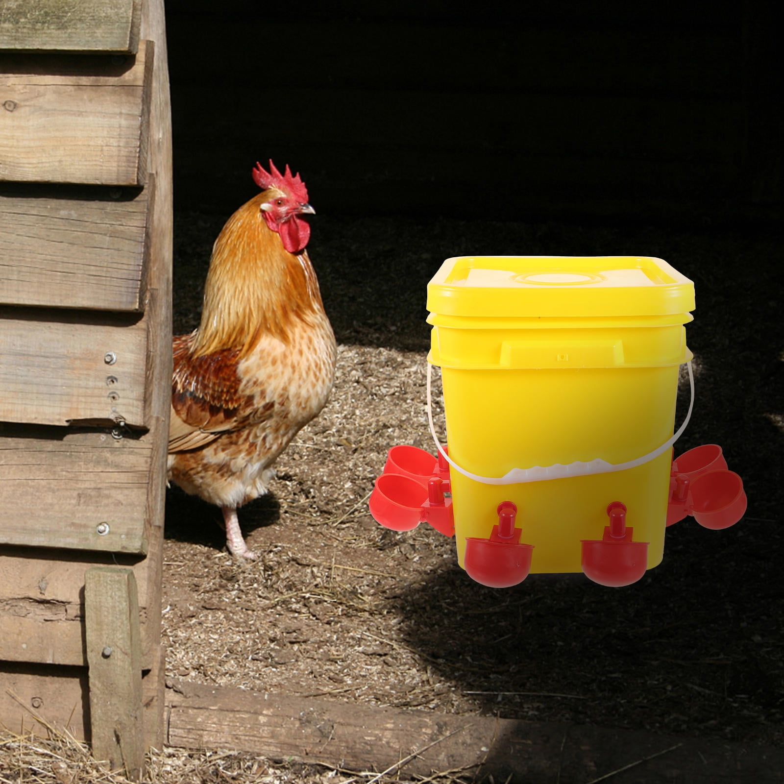 WHAMVOX 1 Set of Reusable Poultry Feeder Chickens Chic Food Container ...