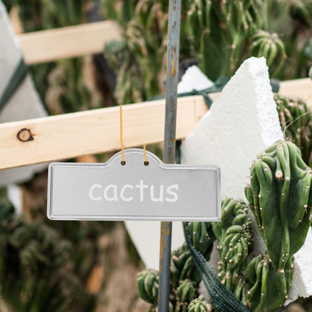 WHAMVOX 10 Pcs Herb Markers for Outdoor Garden Vegetable Plant Sign ...