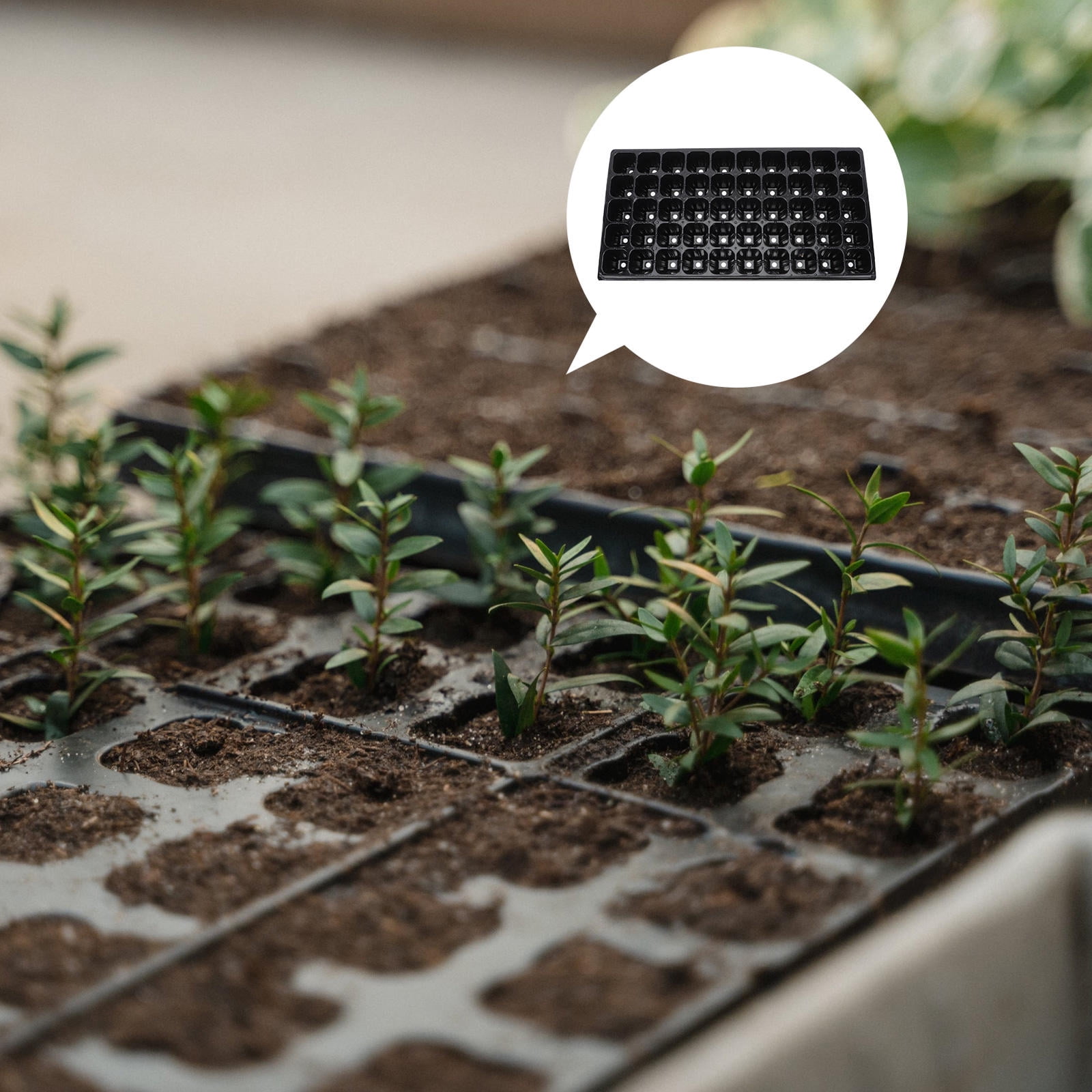 KAJNBN Vegetable Tray Black Plastic 10Pcs 21.3x11in - Walmart.com