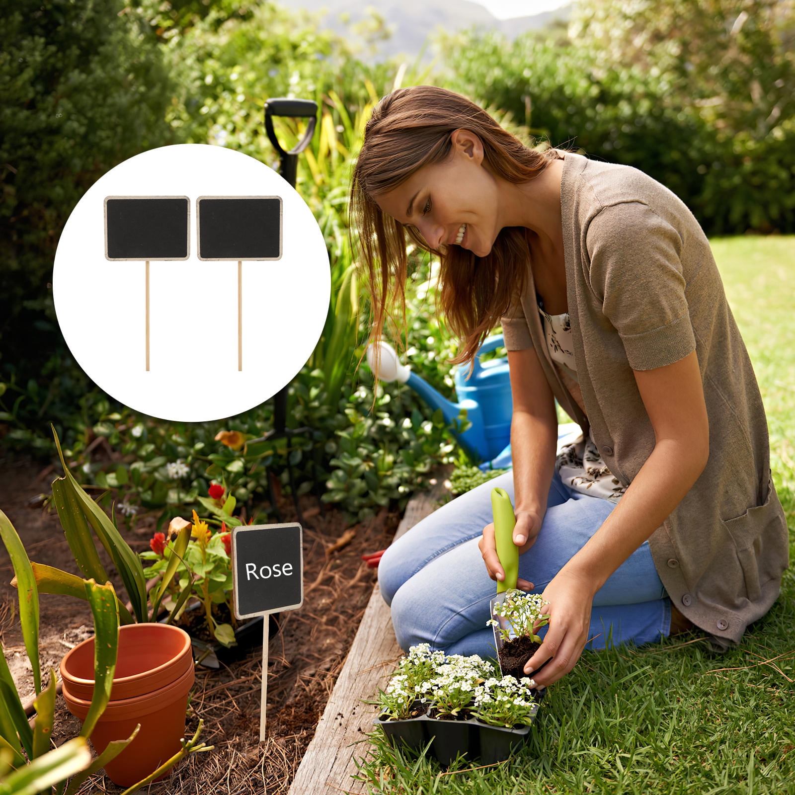 WHAMVOX 10 Pcs Plant Labels for Seedlings Price Sign Garden Stakes ...