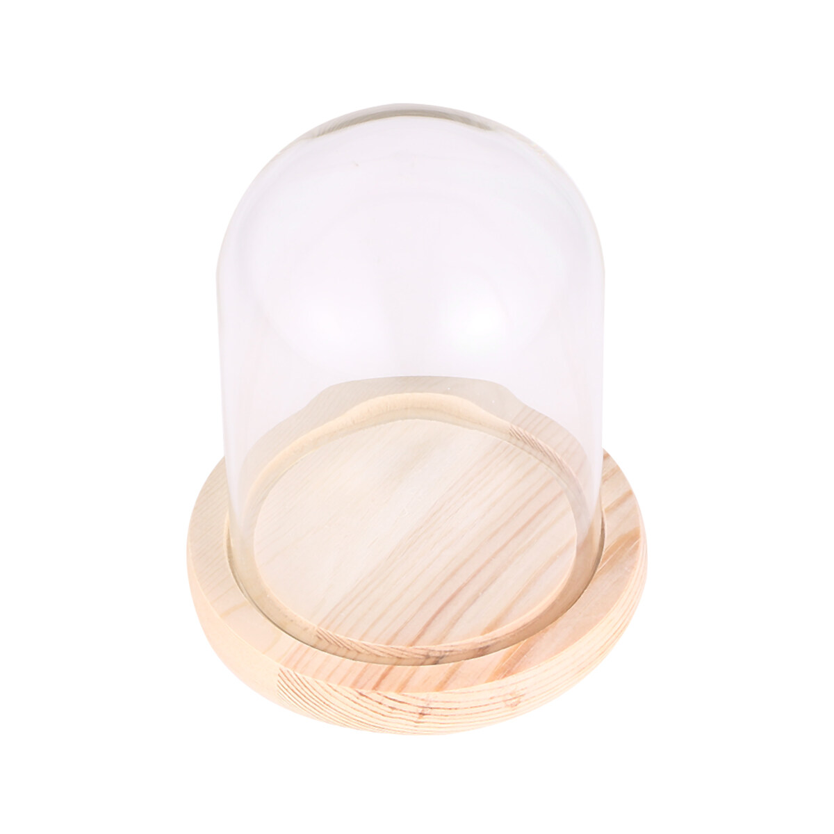 WHAMVOX 10 X14cm Cottage Decor Preserved Flower Glass Cover Transparent ...