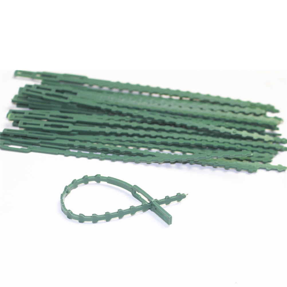 WHAMVOX 100 Pcs Garden Tying Ties Plant Fixing Vine Climbing - Walmart.com