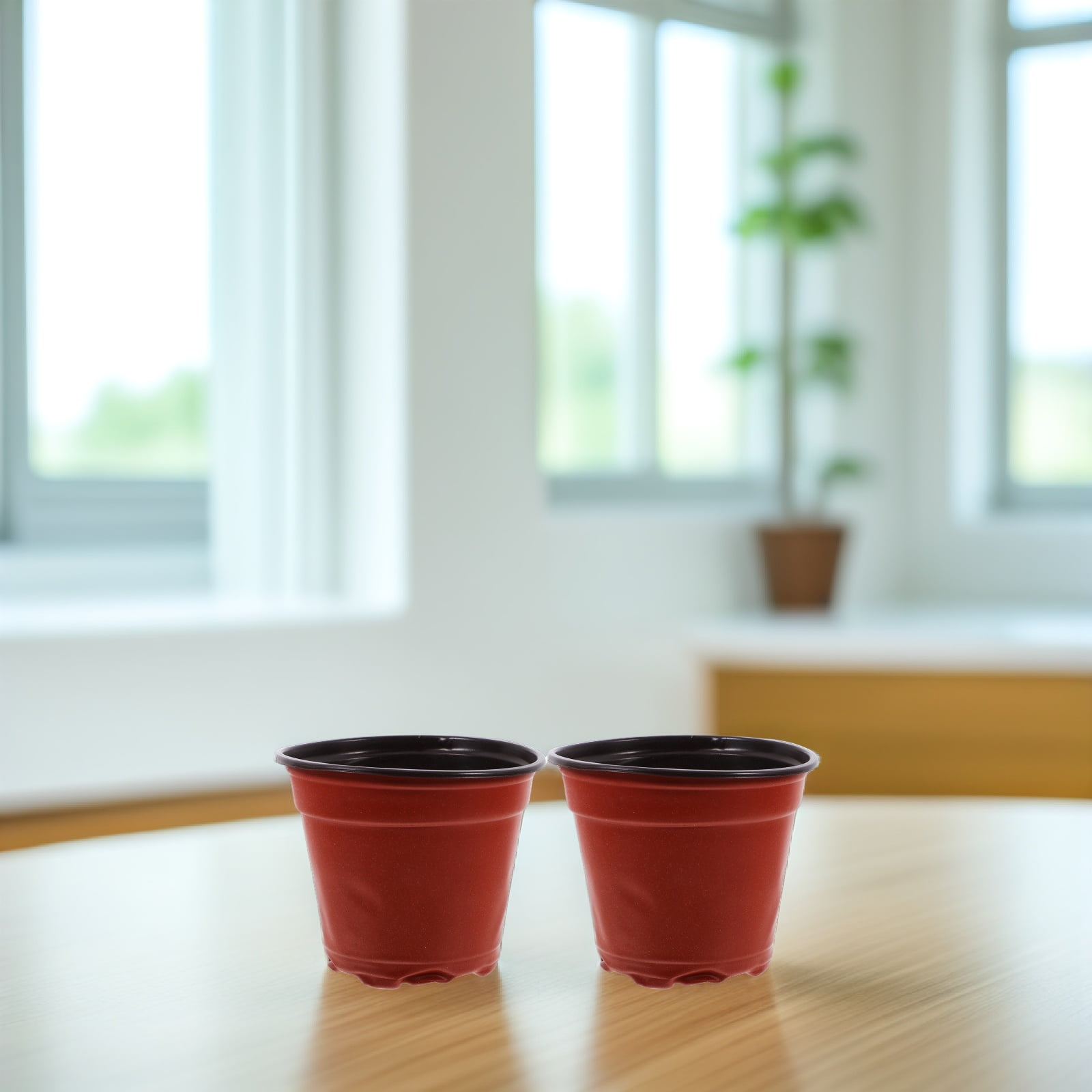 WHAMVOX 100 Pcs Germination Cup Garden Propagator Orchid Pots Nursery ...