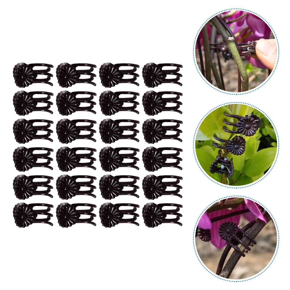 WHAMVOX 100 Pcs Orchid Plastic Clamp Plant Supports Clip Trellis Ties ...