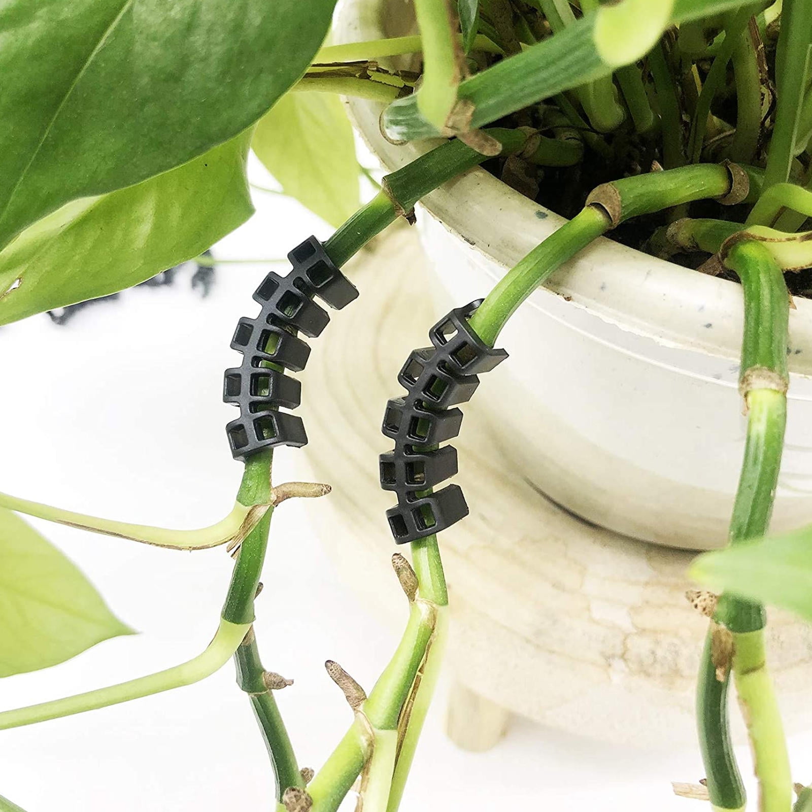 WHAMVOX 100 Pcs Plant Trainer Clips Tomato Fixing Reinforcement ...