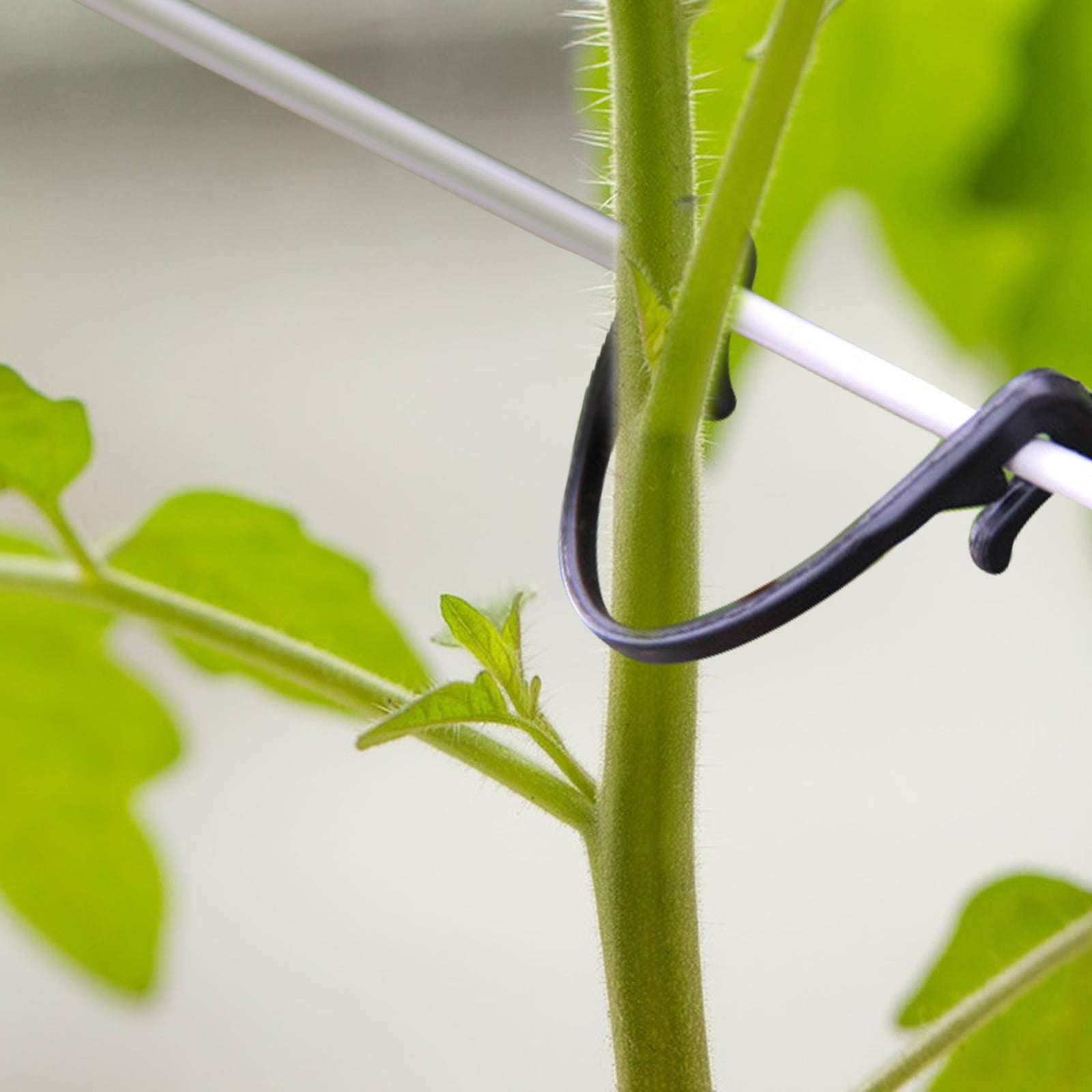 WHAMVOX 100pcs Garden Plant Clip Grape Stem Clip Orchid Support Clamp ...