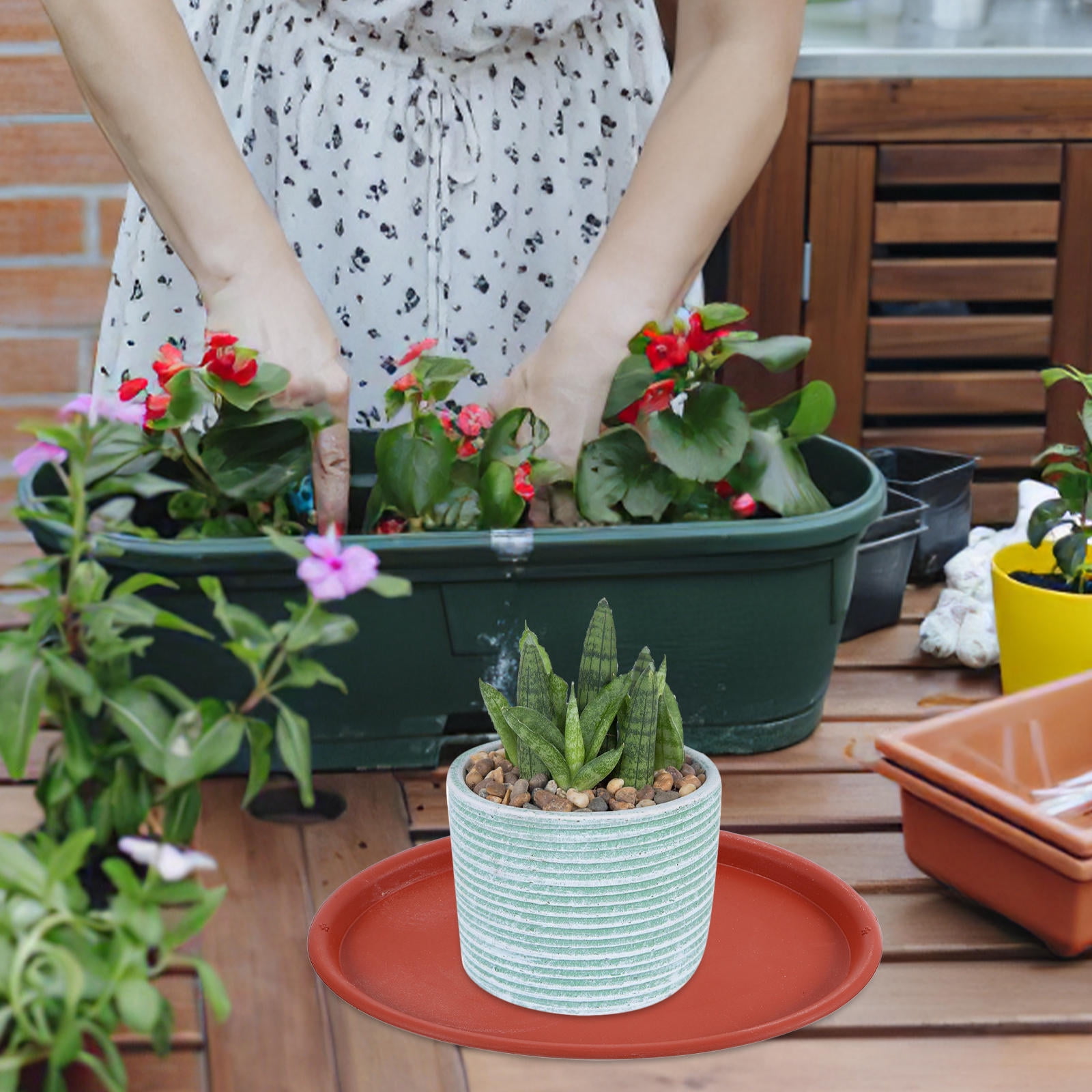 WHAMVOX 10pcs Plastic Plant Saucer Oval Plant Tray Water Drip Trays ...