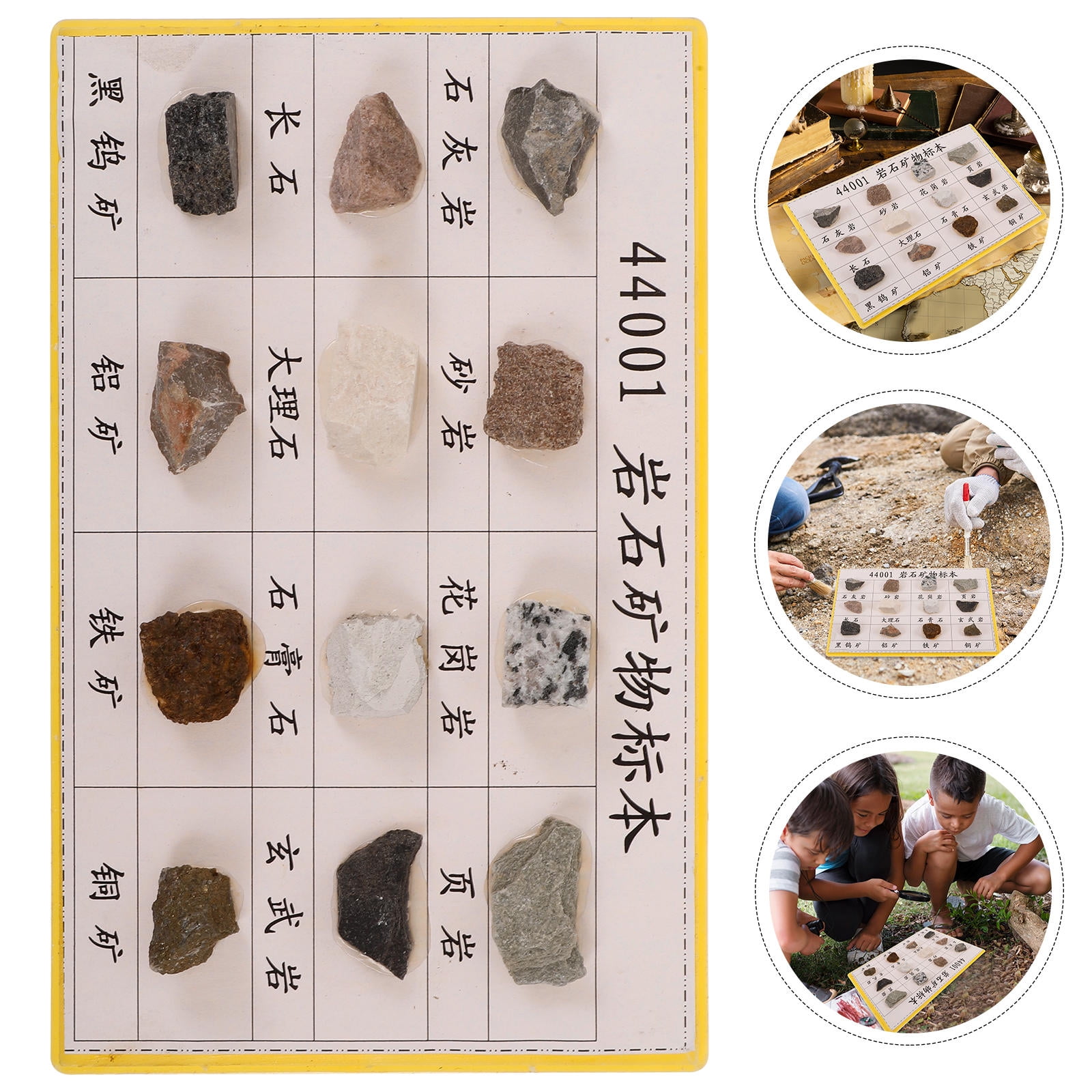 WHAMVOX 12 Pcs Specimen for Laboratory Rock Collecting Kit The ...