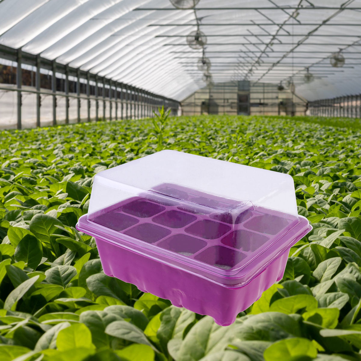 WHAMVOX 12 Sets Sprouting Kit Maker Seedling Tray Plant Pot Garden ...