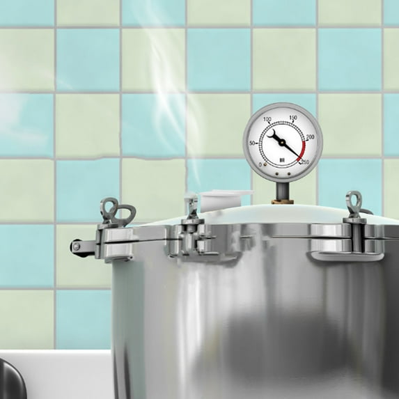 WHAMVOX 1Pcs Pressure Regulator Replacement Valve High-Pressure Safety ...